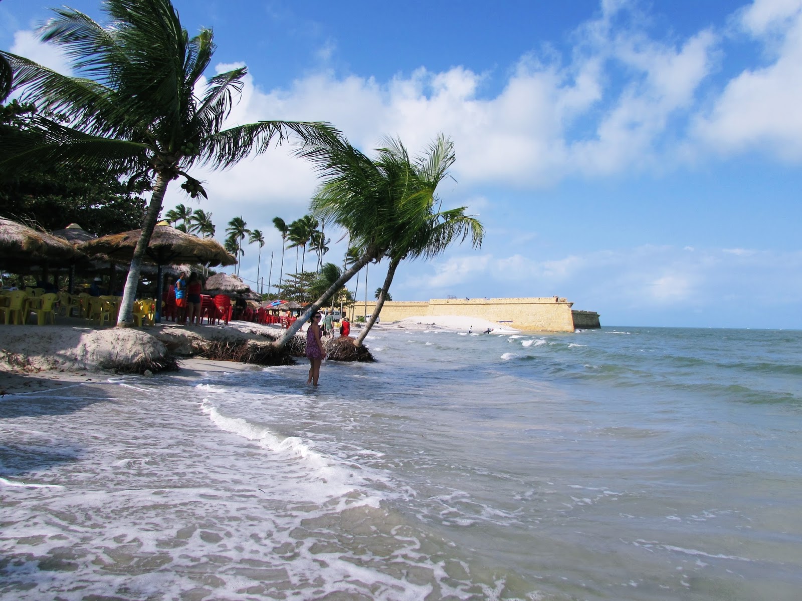 Tem que ir: O que fazer em Recife: Praias do Litoral Norte de ...