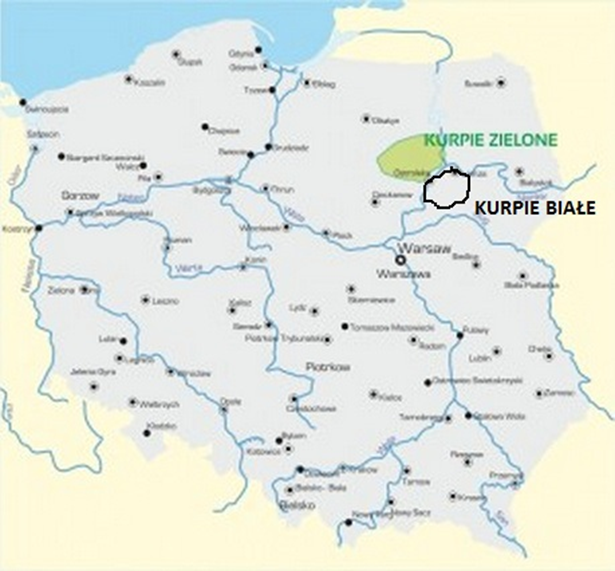 Kurpianka w wielkim świecie: MAŁA OJCZYZNA: Bunt wyzyskiwanych ...