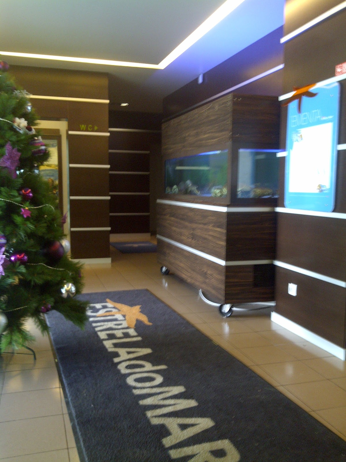 Sair da Caixinha: Gastronomia: Estrela do Mar, Ribamar