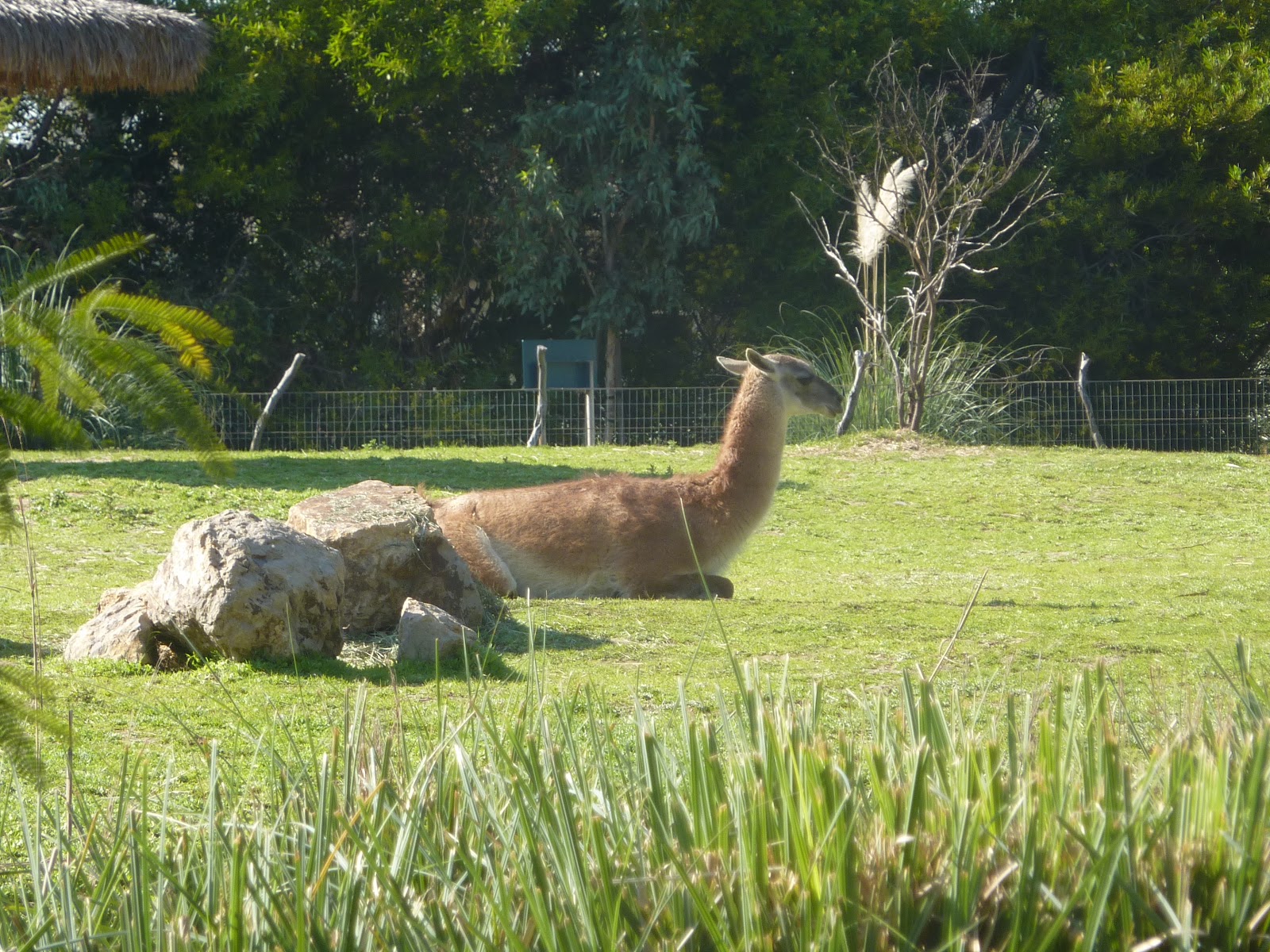 Vacation: Unlimited - Travel Journal: An Afternoon at the Santa Ana Zoo