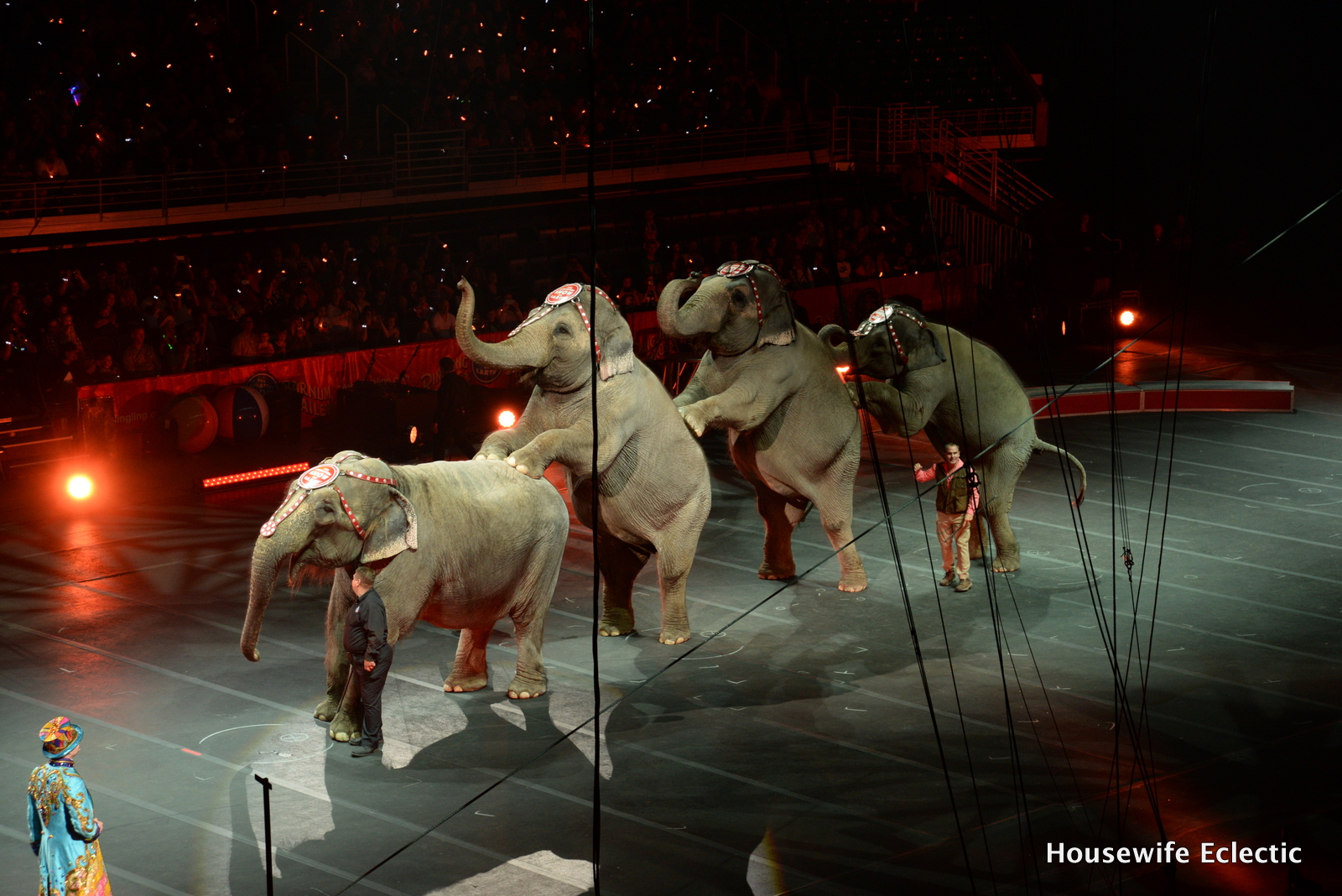 Ringling Bros and Barnum & Bailey Circus - Housewife Eclectic