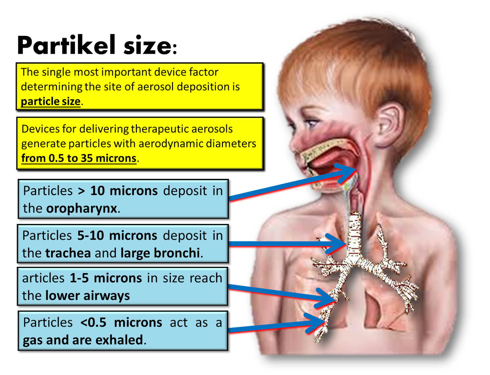 KAMPOENG ASMA: CARA PENGGUNAAN MDI (METERED-DOSE INHALER)