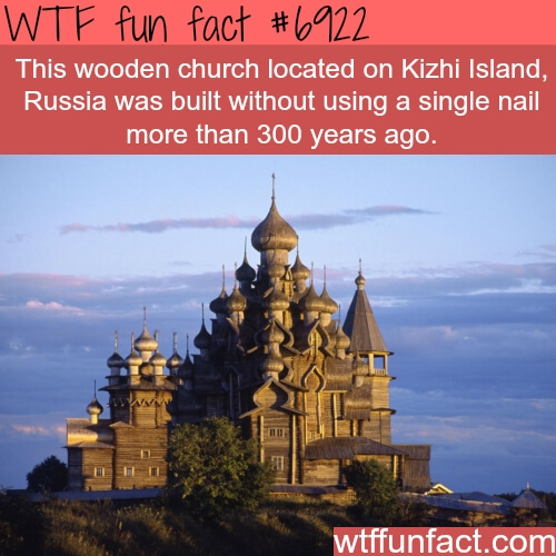 40 Amazing Random WTF Facts | Amazing WTF Facts