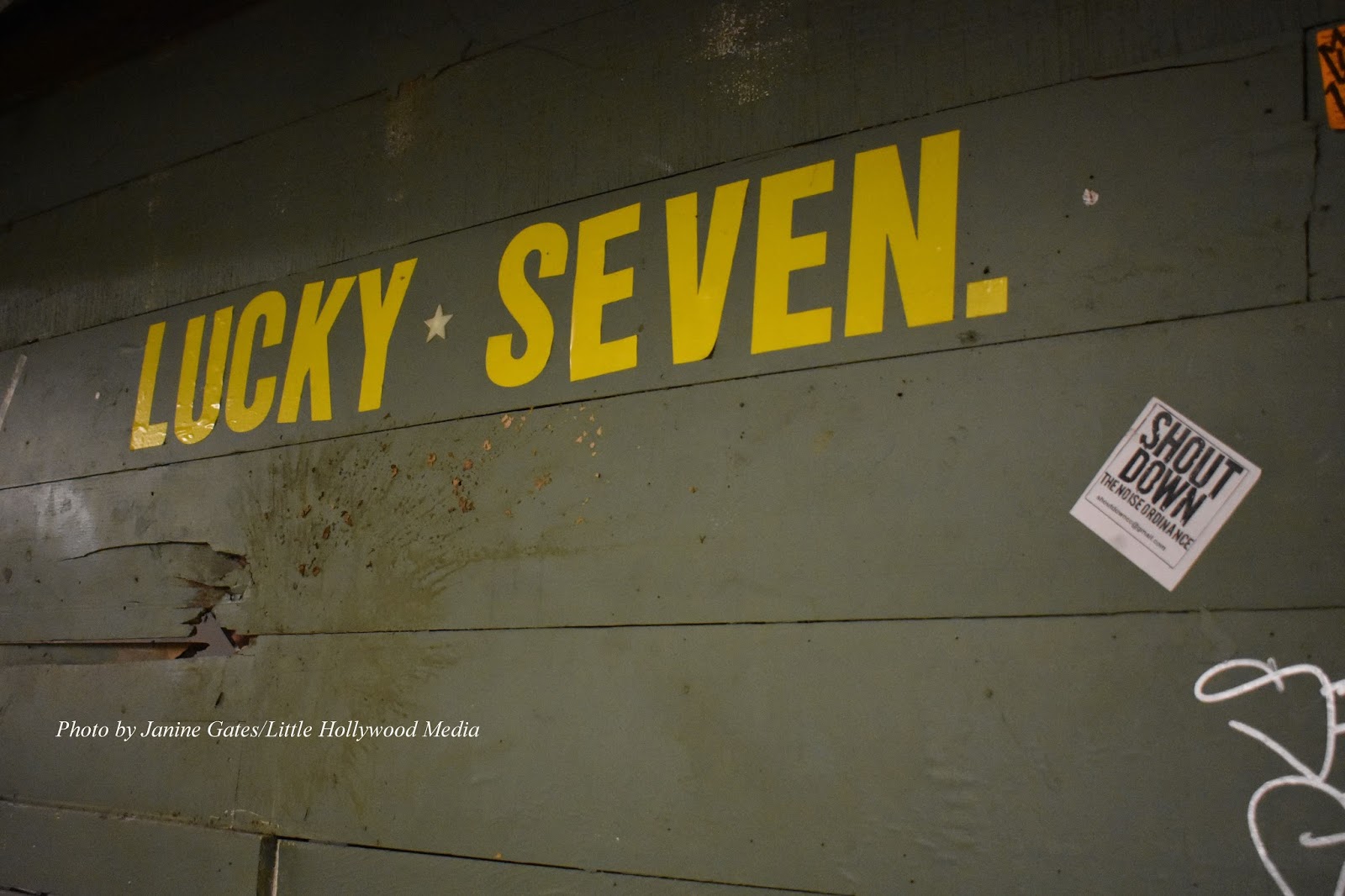 Little Hollywood: New Olympia Councilmember: Veterinarian Lisa Parshley