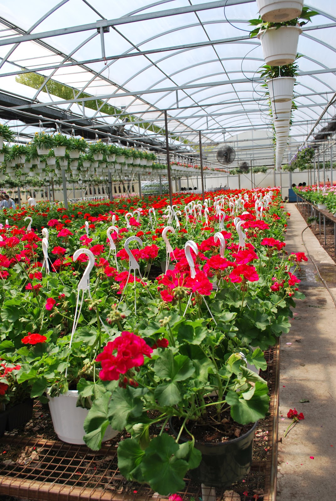 Capers of the Vintage Vixens: FUN AT THE FLOWER FARM