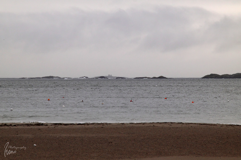 IRENE ROMKES HORGEN: 4 Seasons at Oddane Sand