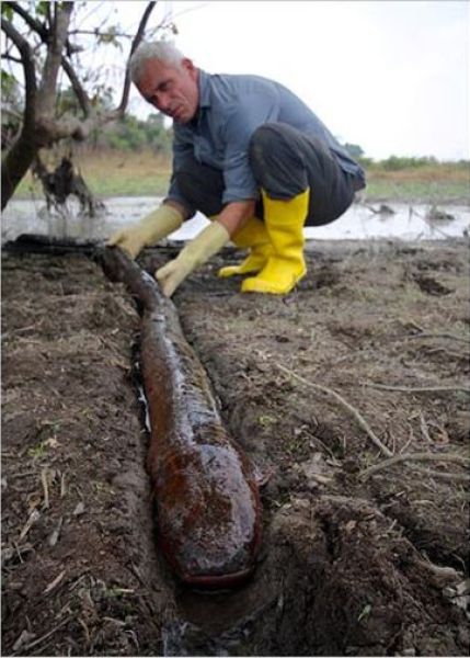 Funny Picture: 10 Most Diabolical & Scariest Fish On Earth at River ...