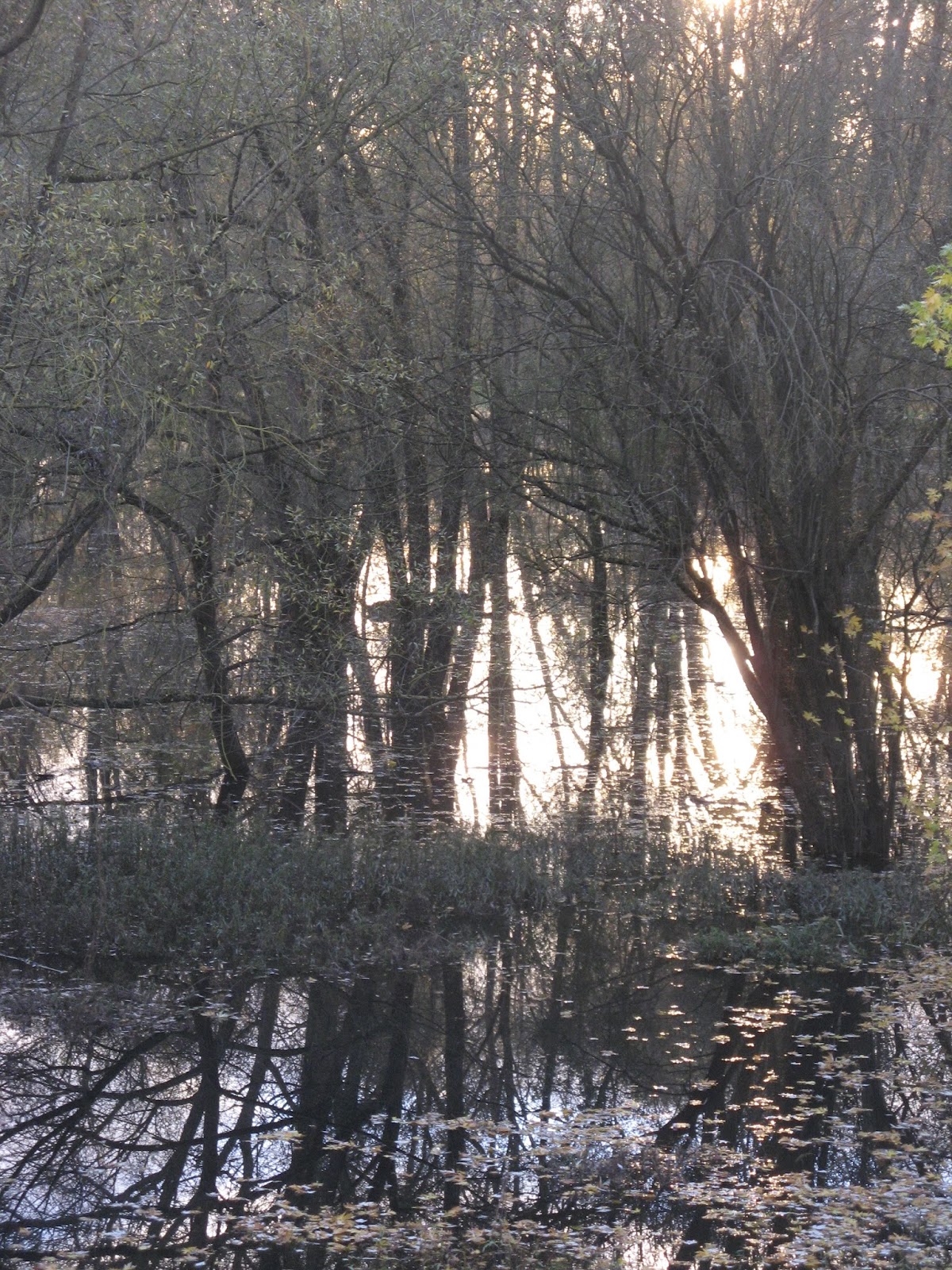 Karin Serres: “Tag" naît à Angers