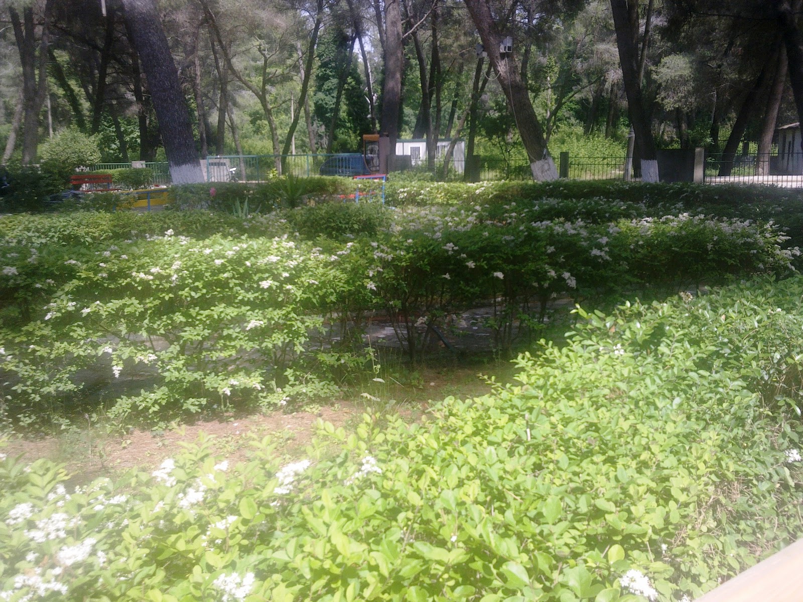 Hoteleri Turizem Albania: Kompleksi "Shtepia e Pushimit" Divjake ju ...