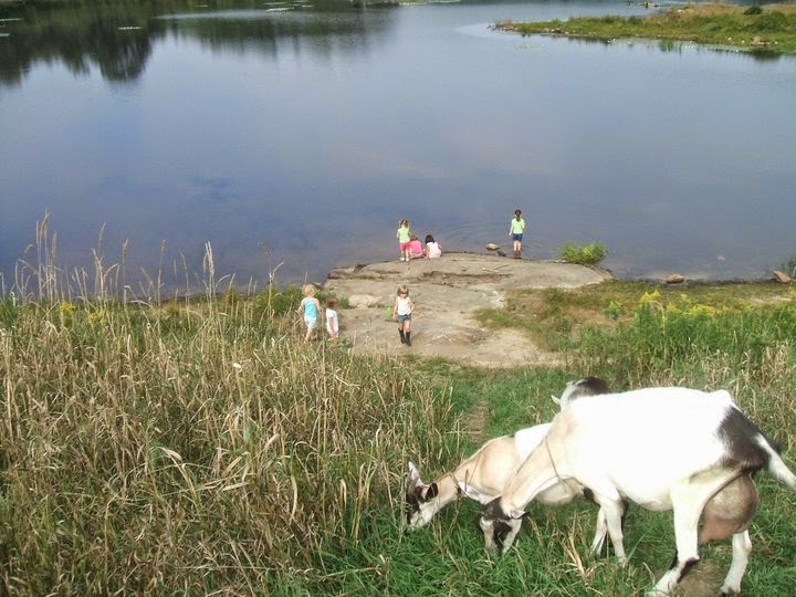 Ebenezer Farm: Photos from around the Farm