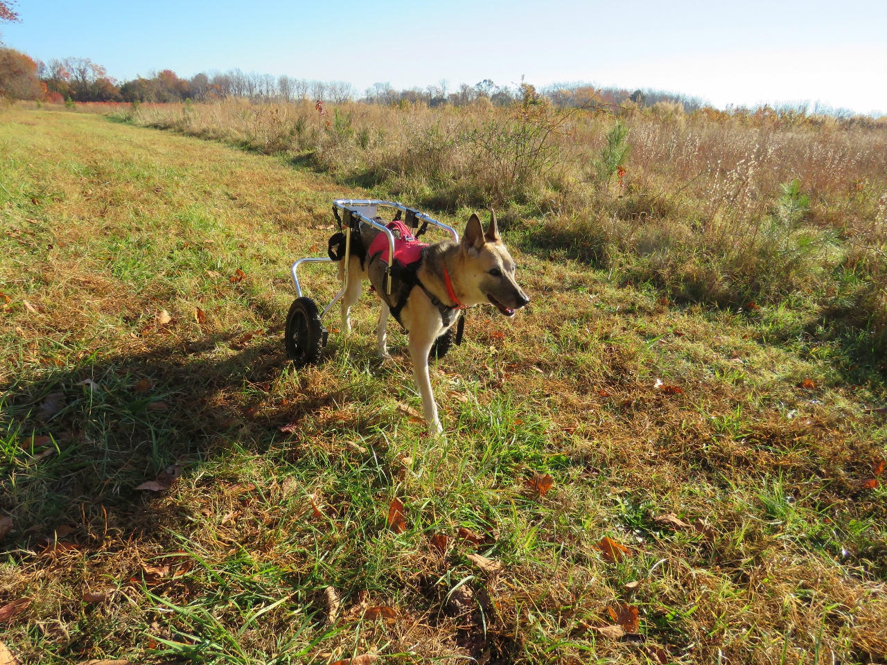 Gone Hikin': Prime Hook National Wildlife Refuge, DE