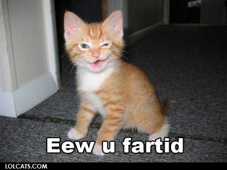 Pudicat Blog: Cat Humour