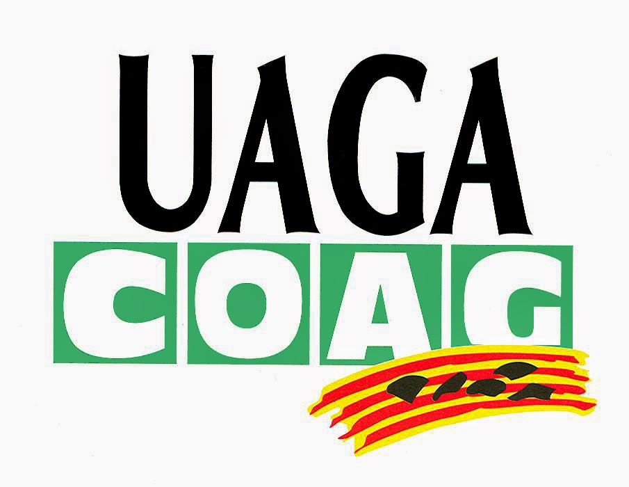 Mercado Agroecológico de Huesca: ¿Quién lo organiza?