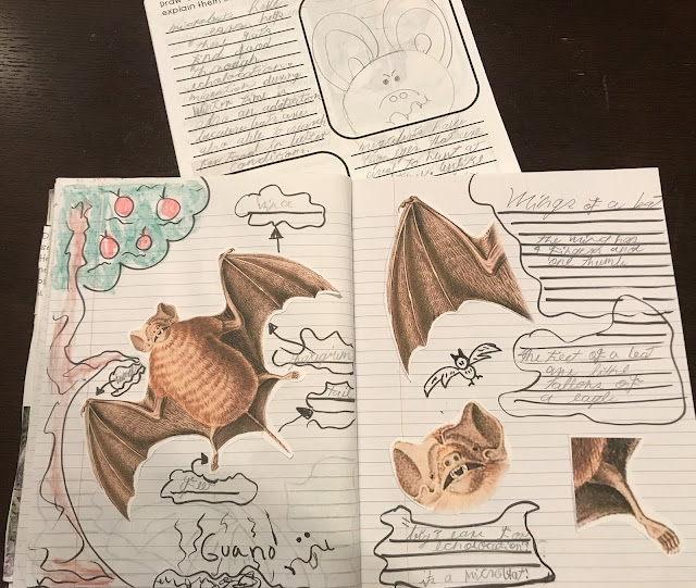 The Hermit Crabs Homeschool