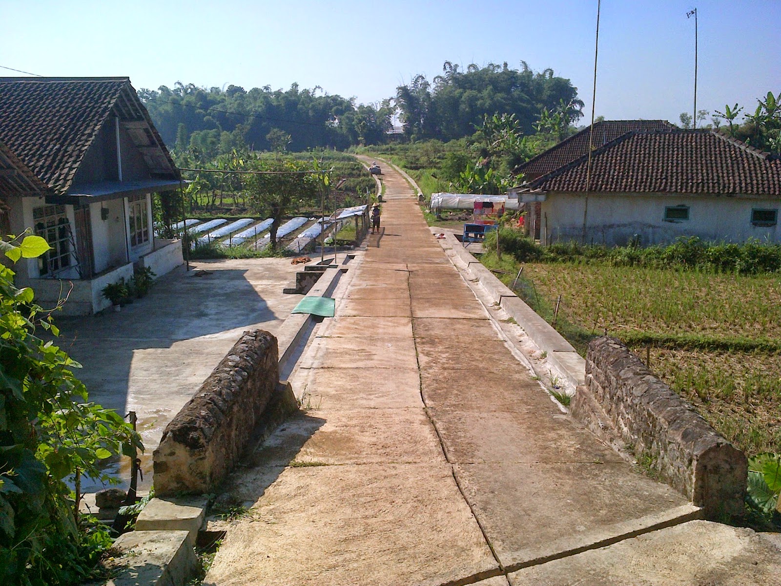 Dusun Cepit Desa Bagusan Kecamatan Parakan ~ Menoreh Post