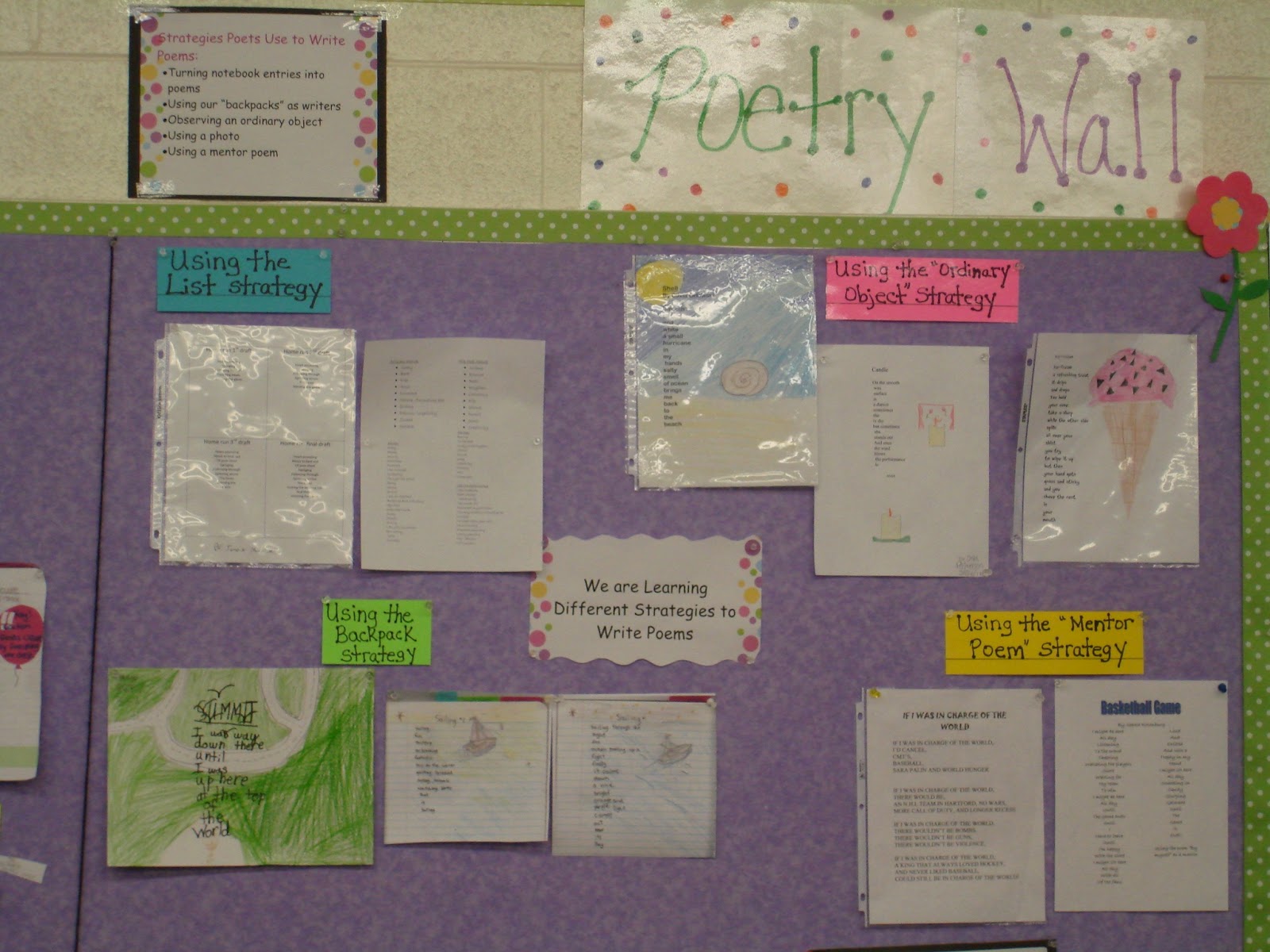 Two Reflective Teachers: Bulletin Boards and Charts