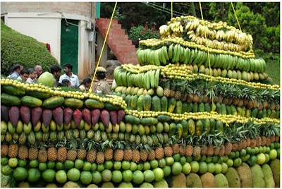 BEST TOURIST SPOTS: Fruit Show Stills