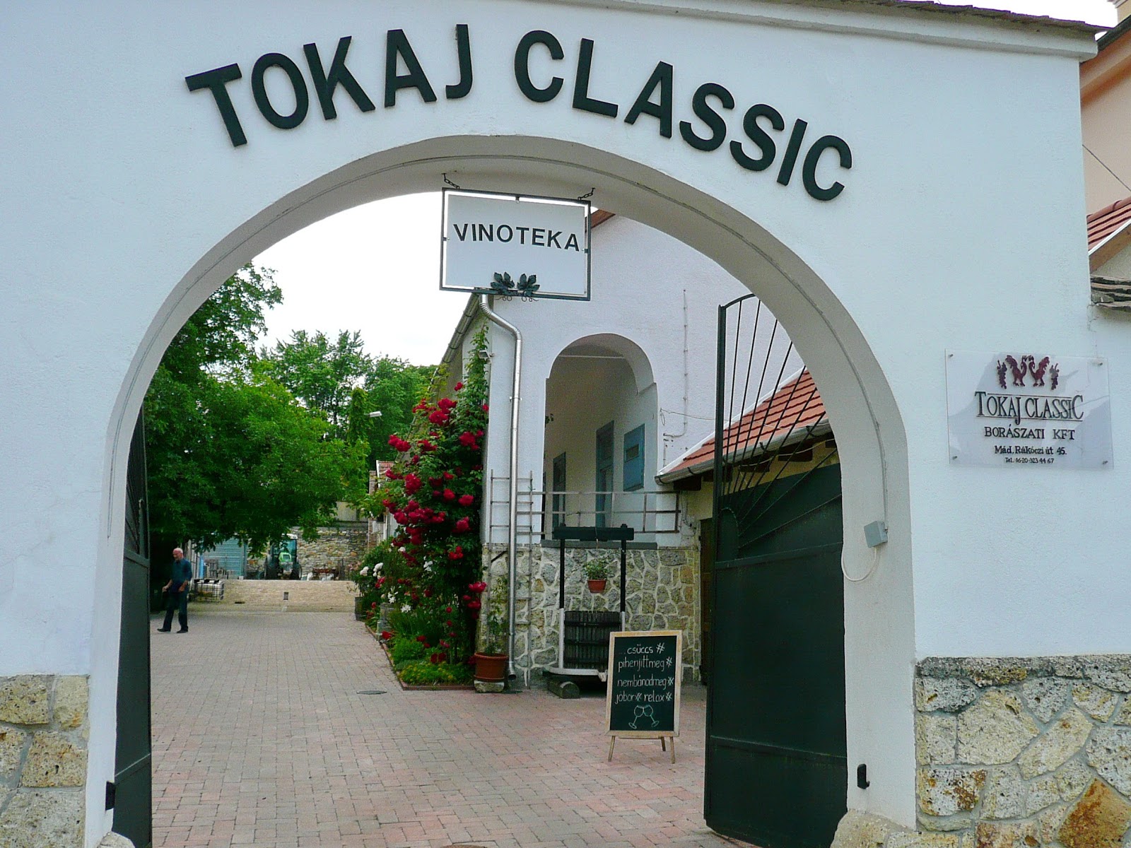 Hazai tájakon: Mád - Tokaj-hegyalja