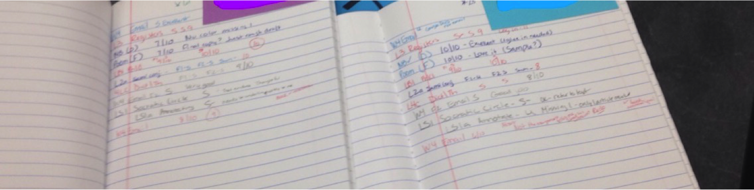 Teacher, Teacher, I Declare!: Standards Based Grading 2015-2016