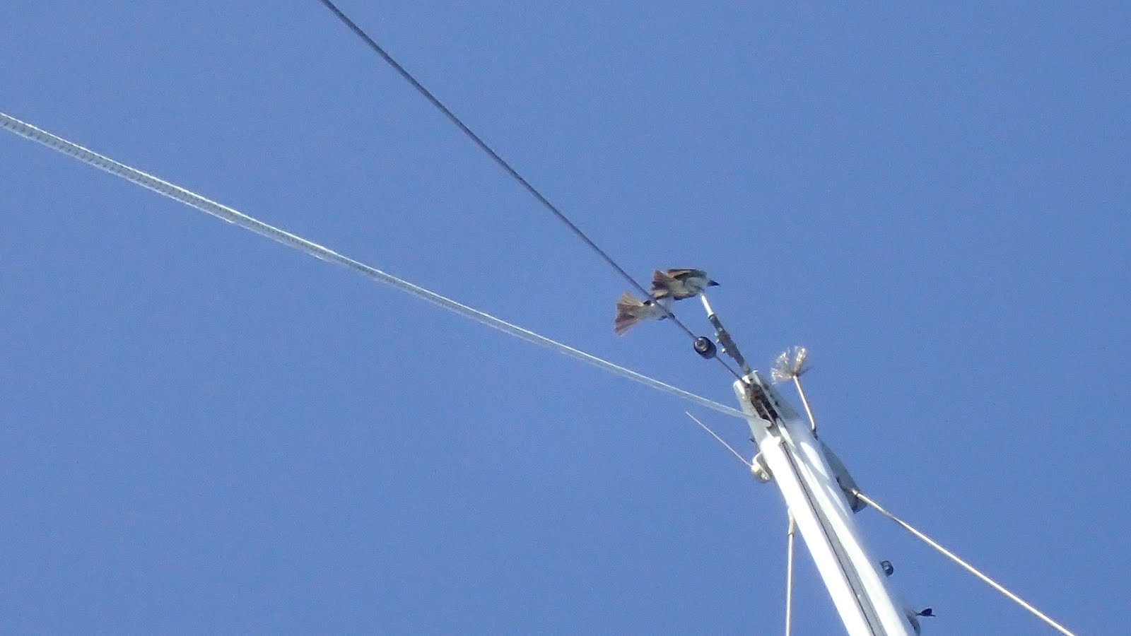 Things we did today...: French Hop, Skip and Jump Part II