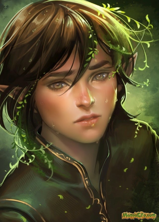 GatosNegrosConOjosCosidos: Elfos