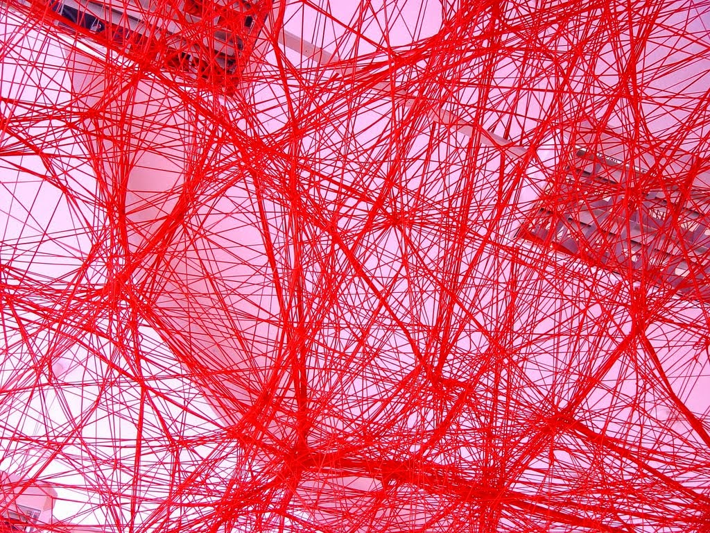 Paseando entre páginas