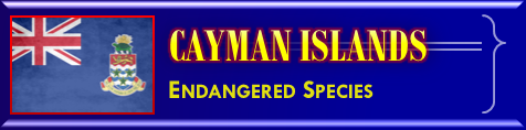 GeoFact of the Day: Cayman Islands Endangered Species