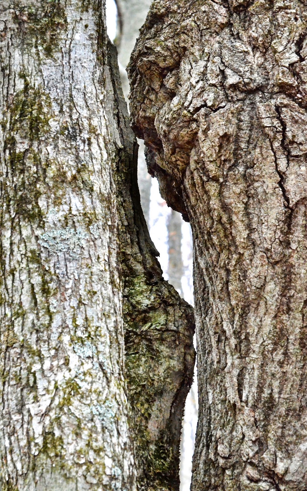 PSYCHOSCAPES: A state of unknowing: An epiphany of art, magic and ...