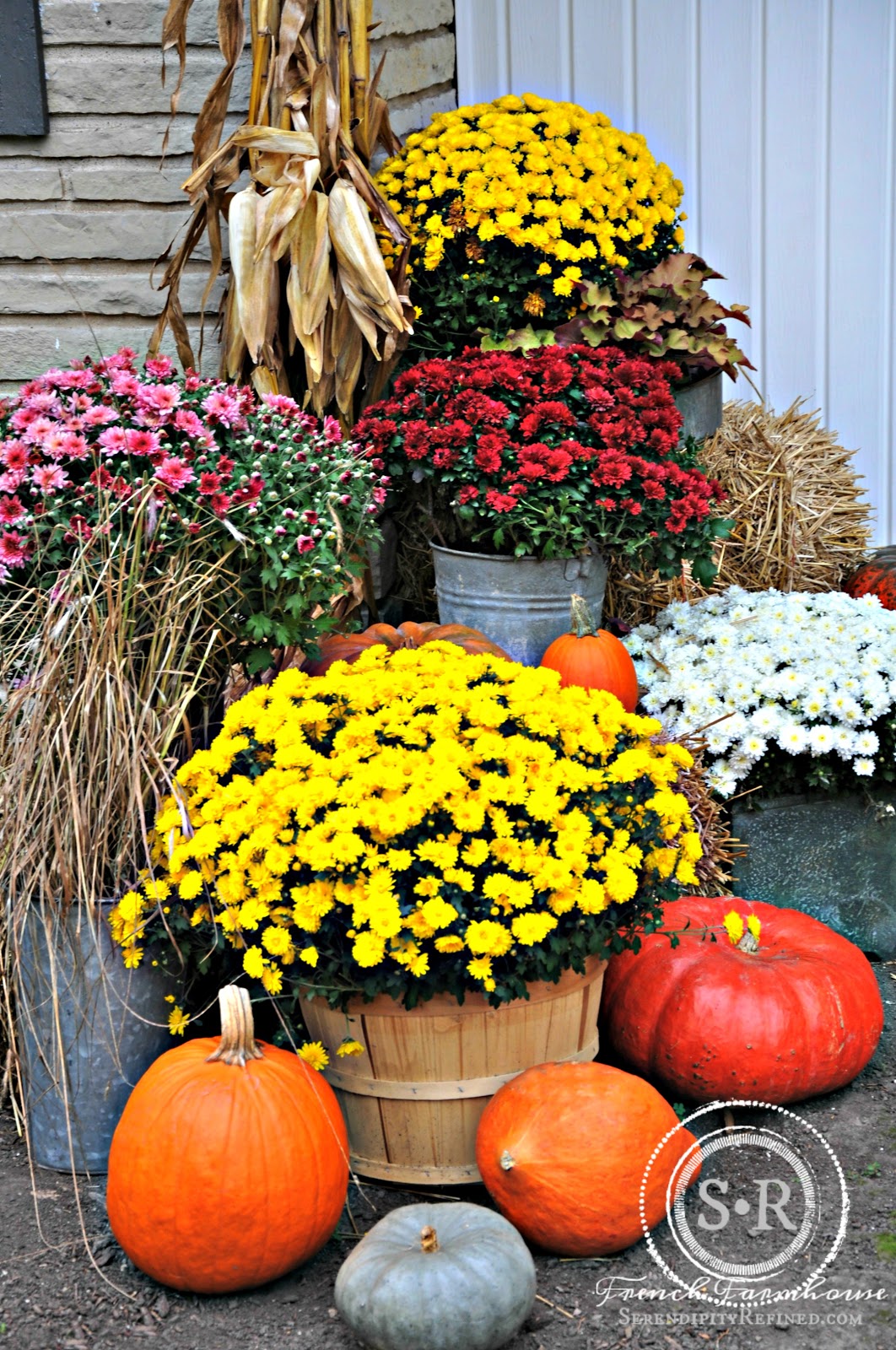 Serendipity Refined Blog: Red Yellow and Gray Fall Porch Decor