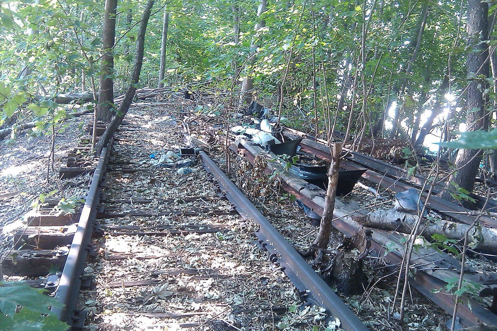 Envisioning the Queens (High) Line: 10/02/11