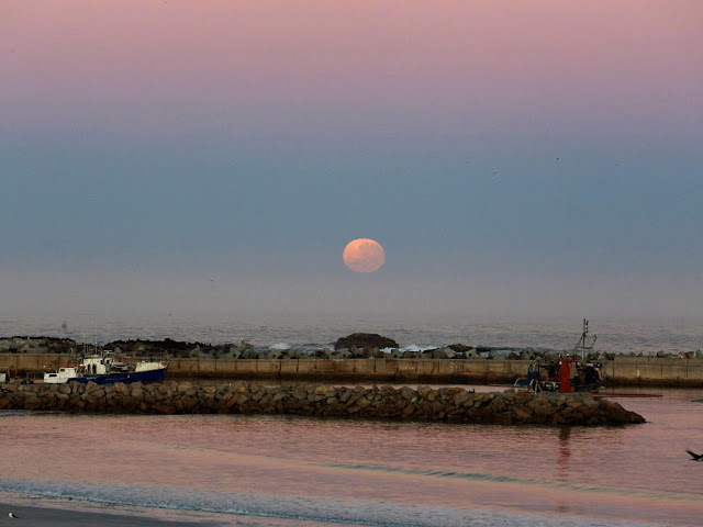 How super moon of Poya Day appeared all over the world in photos