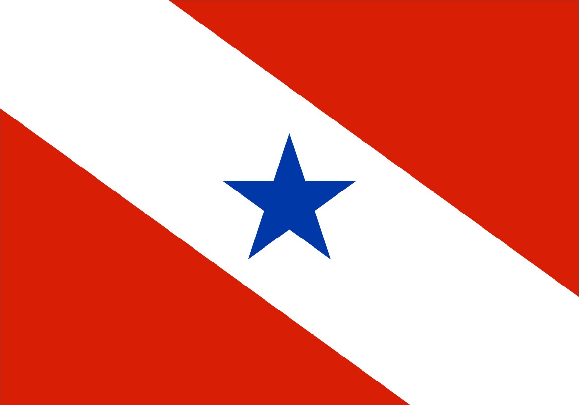 Significados das bandeiras (16) - Estado do Pará - O Blog do Mestre