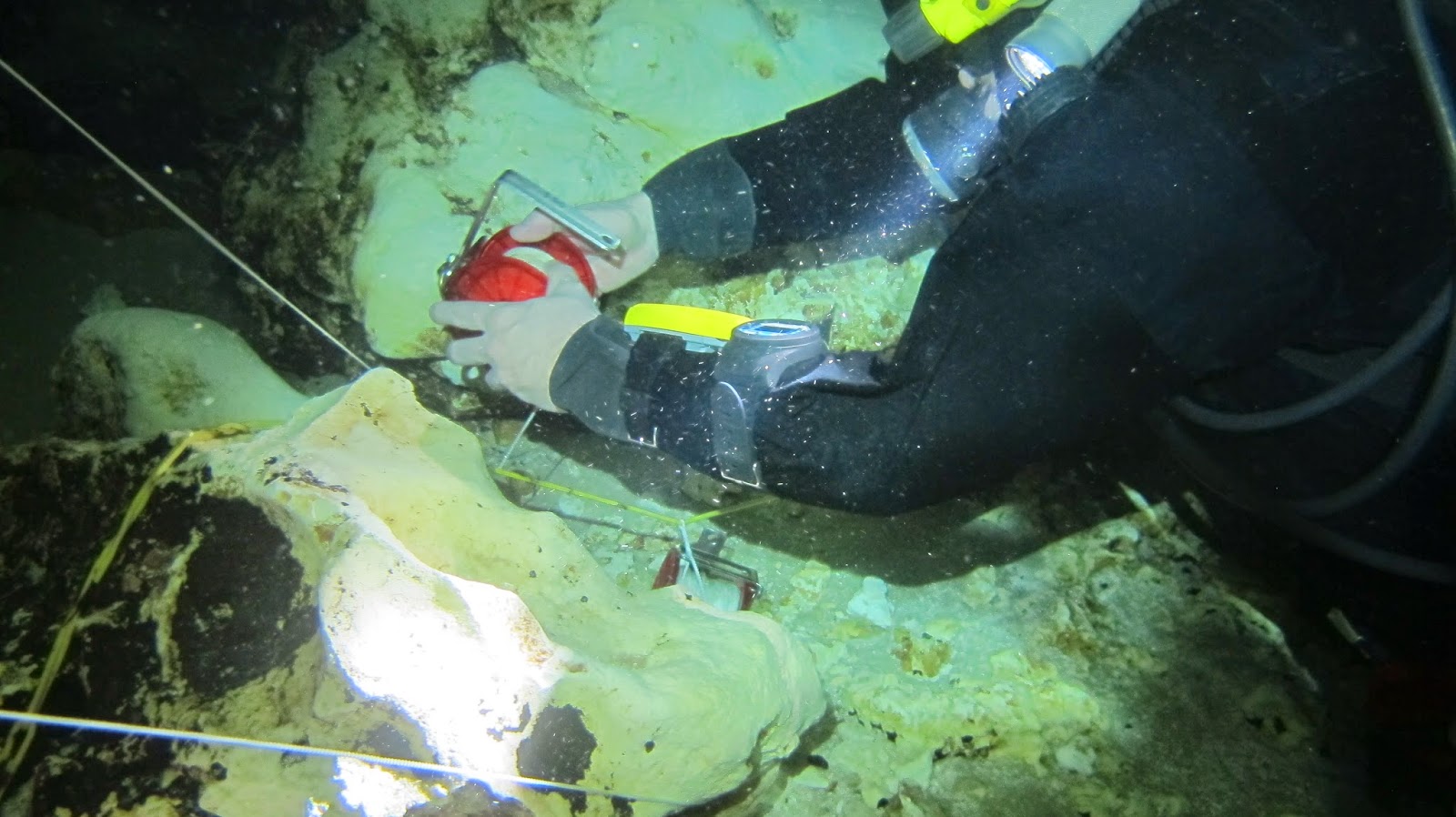 DEVILS EYE & EAR SYSTEM, GINNIE SPRINGS FLORIDA - ADAM HAYDOCK