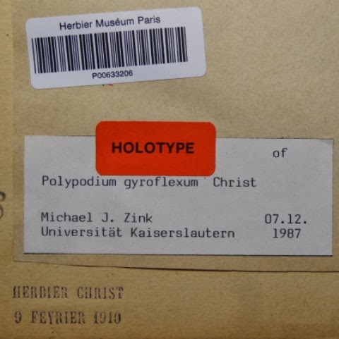 Jacques Huber and the Amazonian Botany: Plant collections