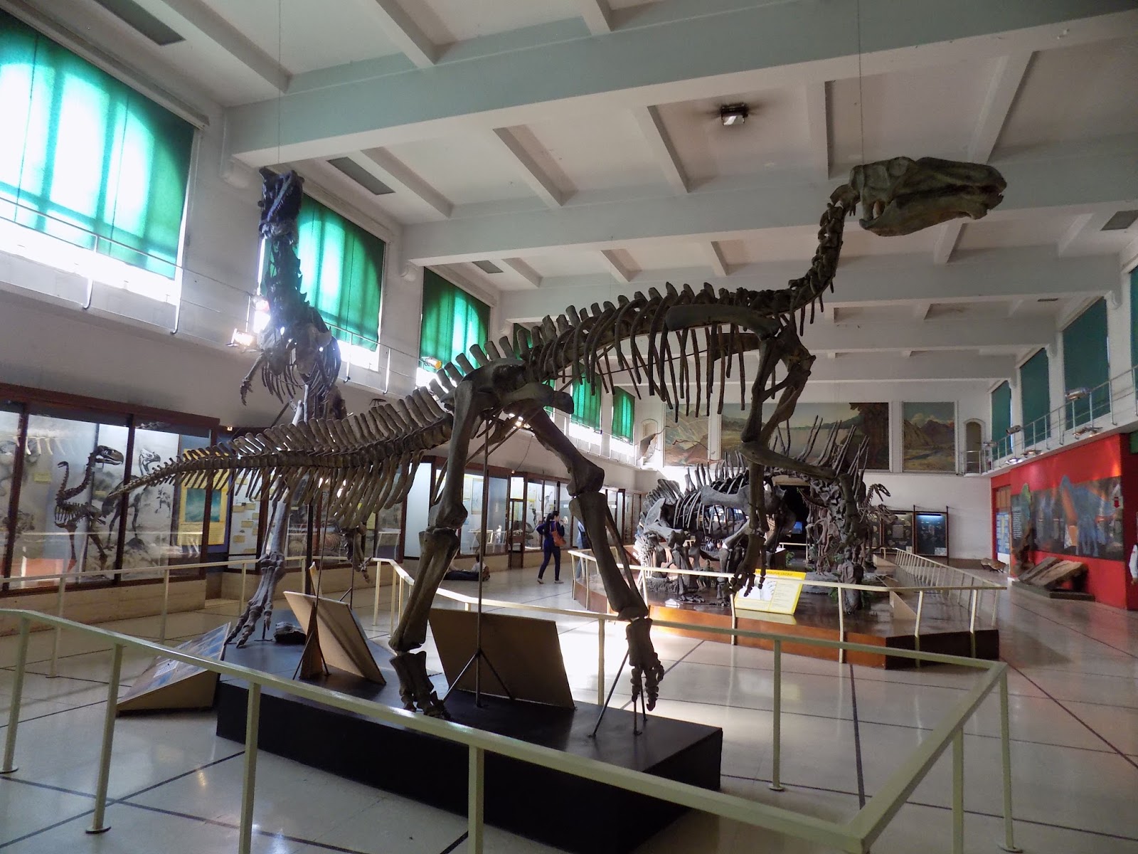 RECORRIENDO ASIA: MUSEO ARGENTINO DE CIENCIAS NATURALES RECORRIENDO ASIA: MUSEO ARGENTINO DE CIENCIAS NATURALES