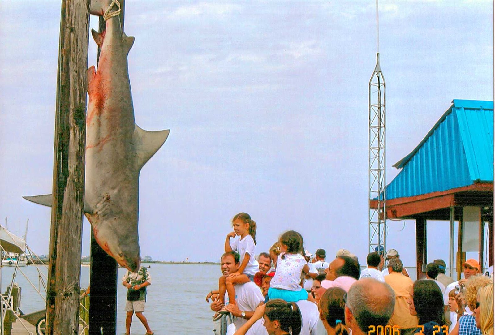 From Rome to Home: My life in Mobile, Alabama: Dauphin Island