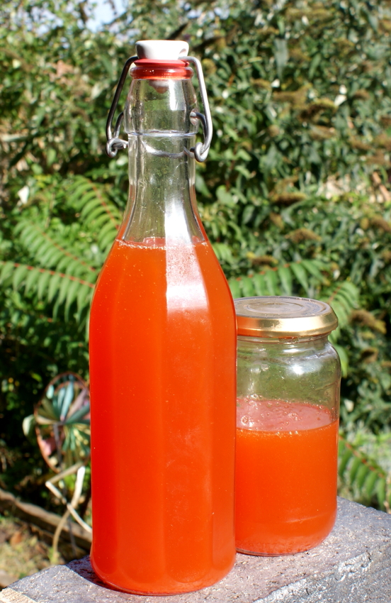 lightly enchanted: Rose Hip Syrup