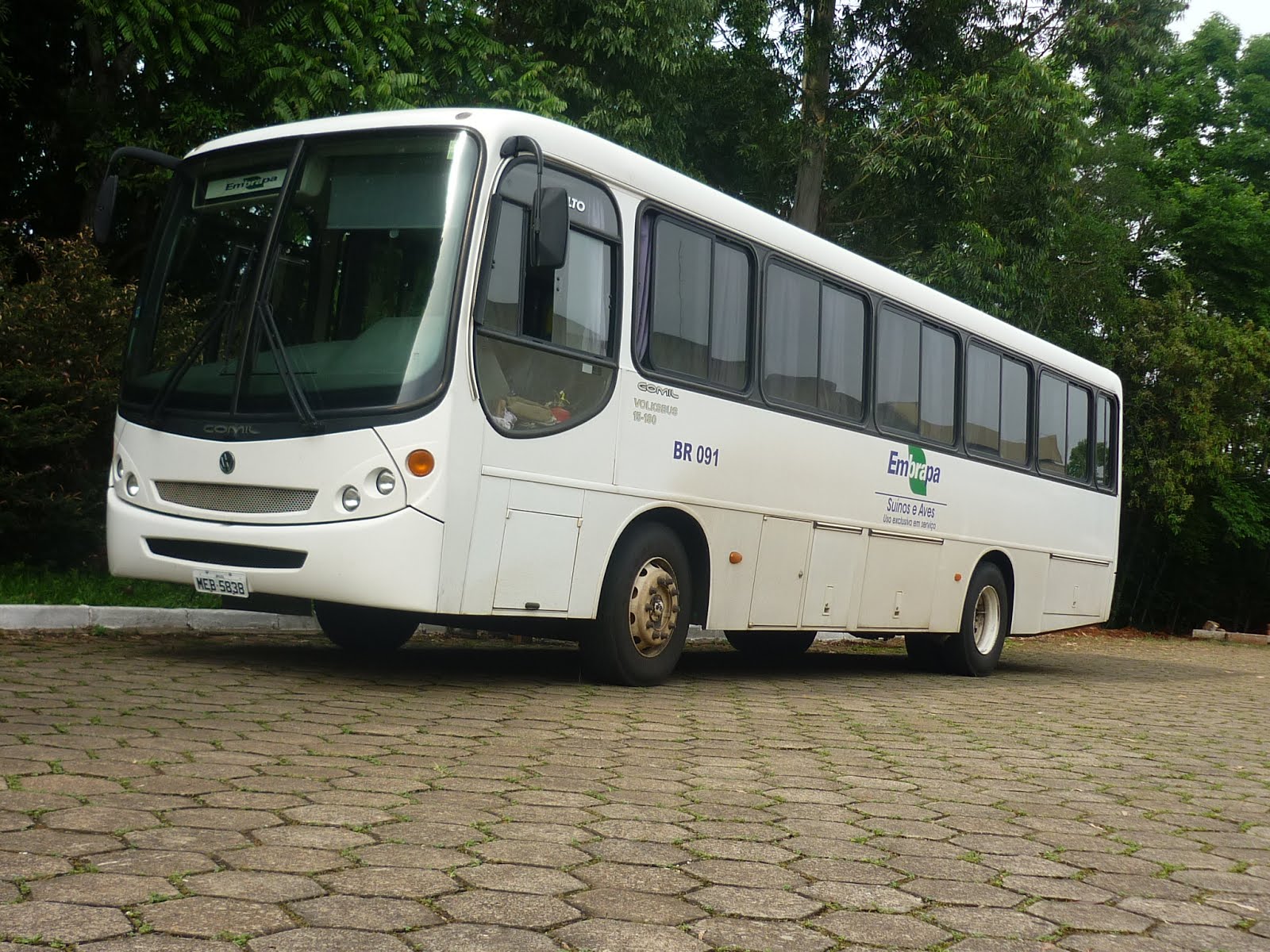 Sul Bus, Uma paixão por ônibus!!!: EMBRAPA - Suínos e Aves Sul Bus, Uma paixão por ônibus!!!: EMBRAPA - Suínos e Aves
