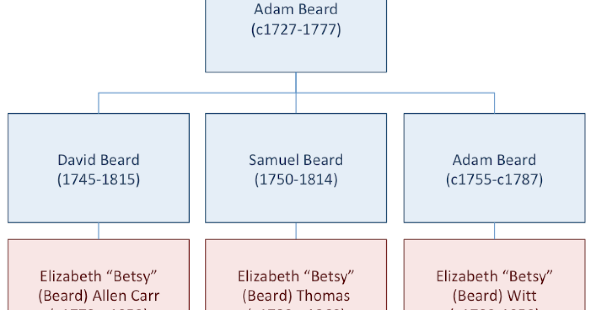 Tangled Roots and Trees: The Elizabeth Beard First Cousins: Which Is Which?