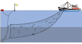 Metode Pengoperasian Alat Tangkap Gill Net / Jaring Insang - PERIKANANKU