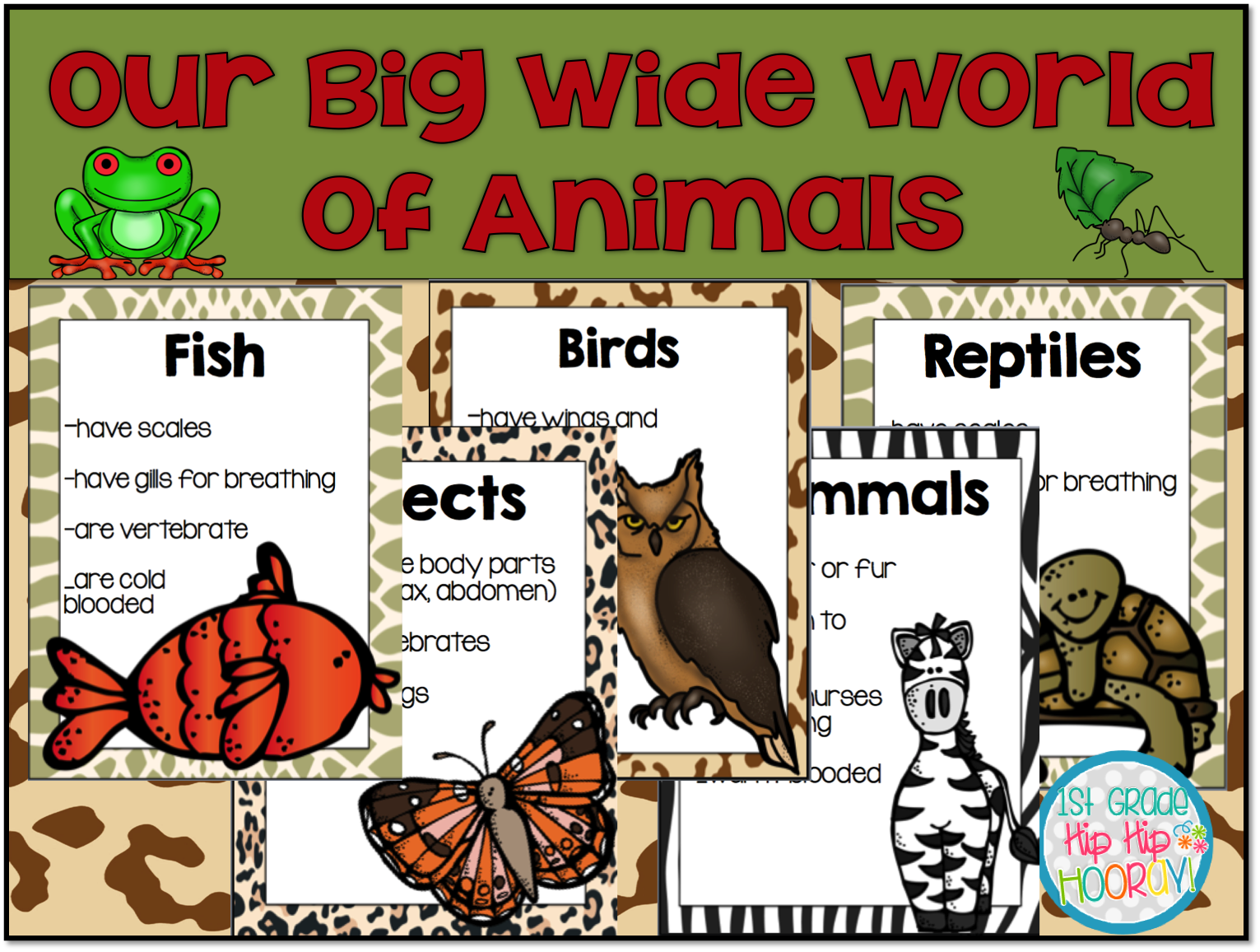 1st Grade Hip Hip Hooray!: Exploring Animals