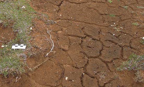 Suelos : CLASIFICACIÓN DEL SUELO