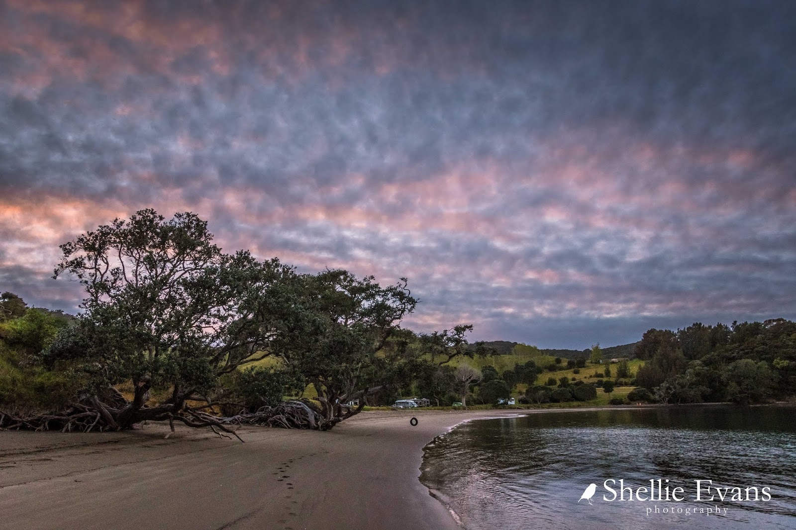 Two Go Tiki Touring: Perfect Puriri Bay- Part 1