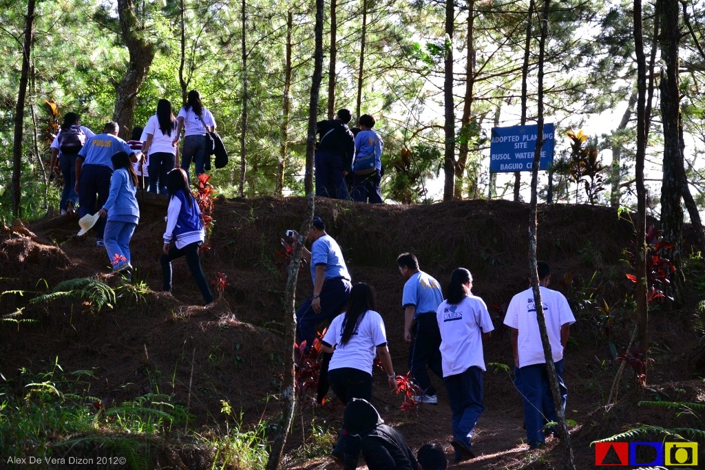 Baguio, its time to plant more trees! - Recycle Bin of a Middle Child