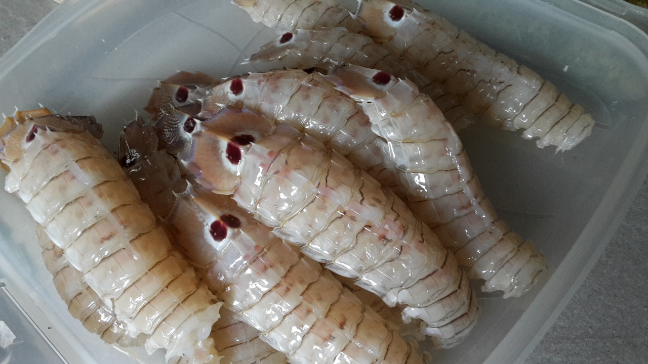 Cortesie In Cucina: Cicale di mare gratinate al forno