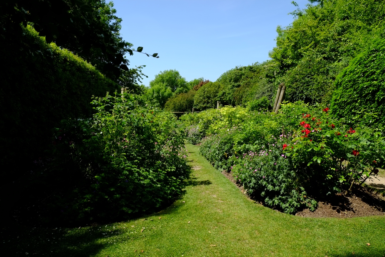 Tricia's Tales: Highfield Gardens and Nymans..