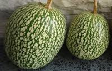 Dicas e Sugestões Gastronómicas: Doce de Abóbora Chila / Doce de Gila