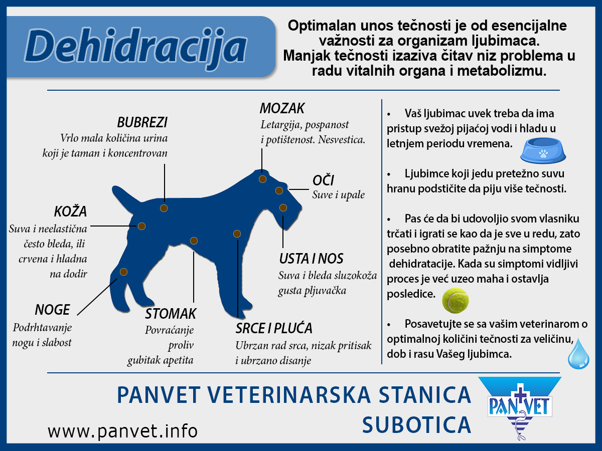 Infografika ~ Panvet - moj veterinar