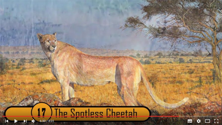 Effetto Mandela - Evidenze: "Nuovi Ghepardi" (Africa e India)