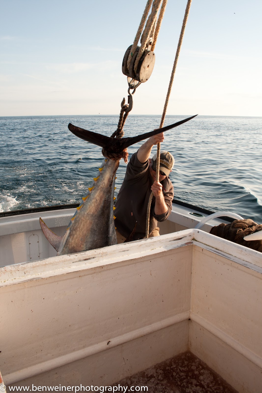 Ben Weiner Photography